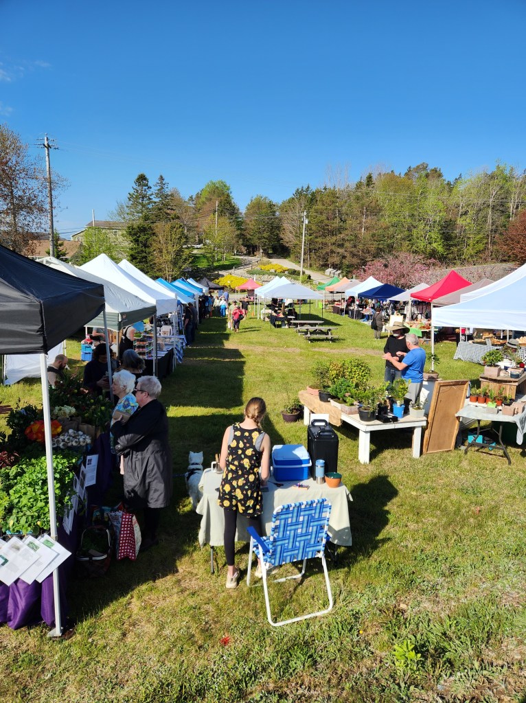 Chester Farmers & Artisans Market – Come Grow With Us!